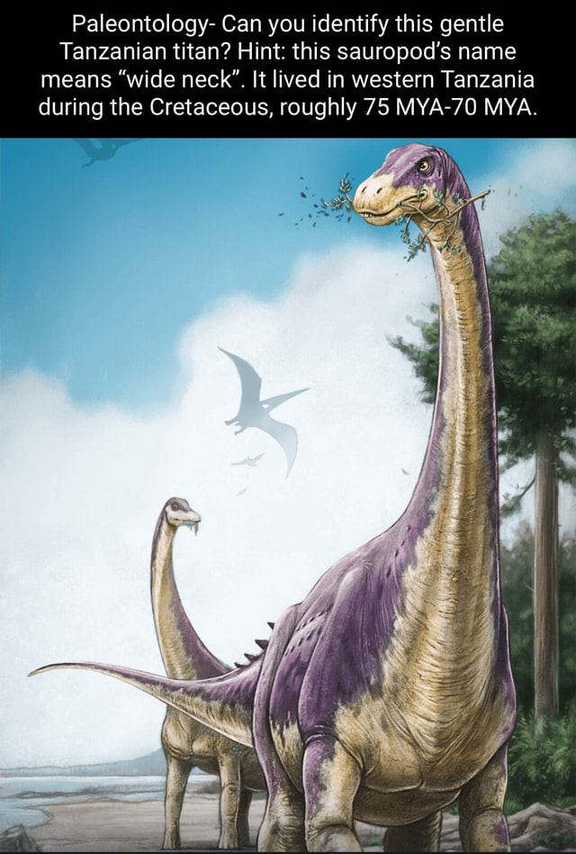 Paleontology- Can you identify this gentle Tanzanian titan? Hint: this ...