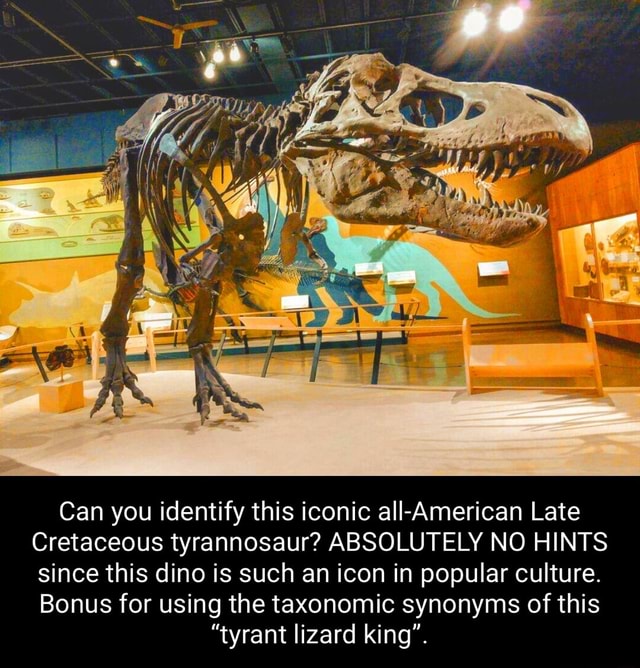 Hi Can you identify this iconic all-American Late Cretaceous ...