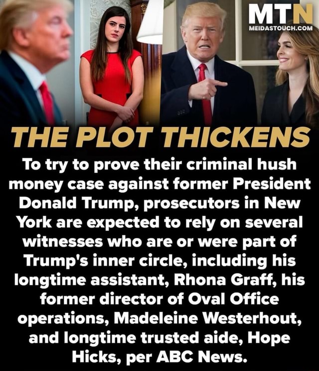 THE PLOT THICKENS To try to prove their criminal hush money case ...