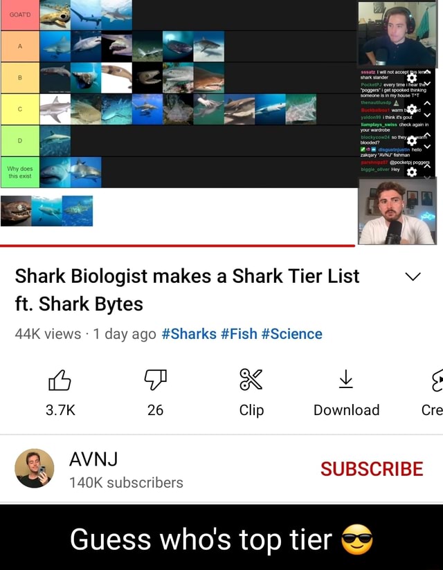 Shark Biologist makes a Shark Tier List ft. Shark Bytes views 1 day ago ...