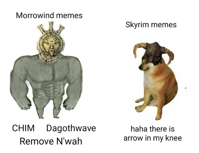 I find Morrowind memes funnier - Morrowind memes Skyrim memes CHIM ...
