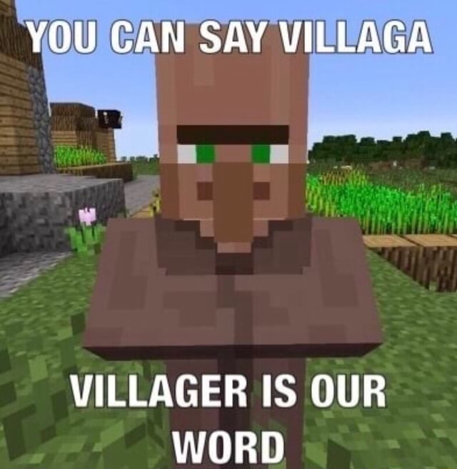 Y'GUD CAN SAY VIEW! VILLAGER IS OUR WORD - iFunny Brazil