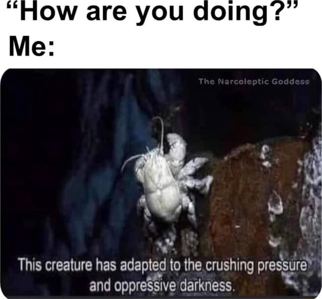 Are you doing* The Geddess Wa This creature has adapted to the ...