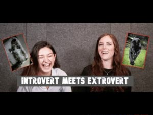 INTROVERT MEETS EXTROVERT: INTROVERT MEETS EXTROVERT heyintrovert:INTROVERT MEETS EXTROVERT ...