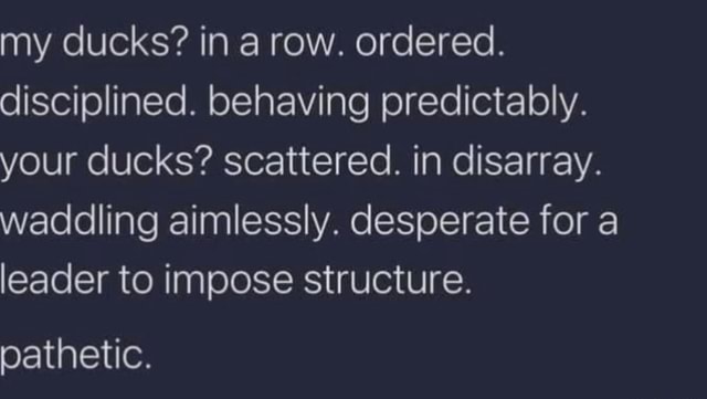 My ducks? in a row. ordered. disciplined. behaving predictably. your ...