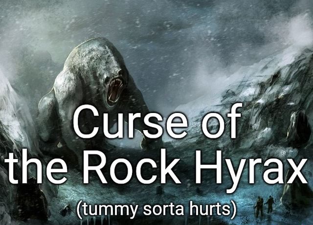 Curse of the Rock Hyrax (tummy sorta hurts) - iFunny Brazil