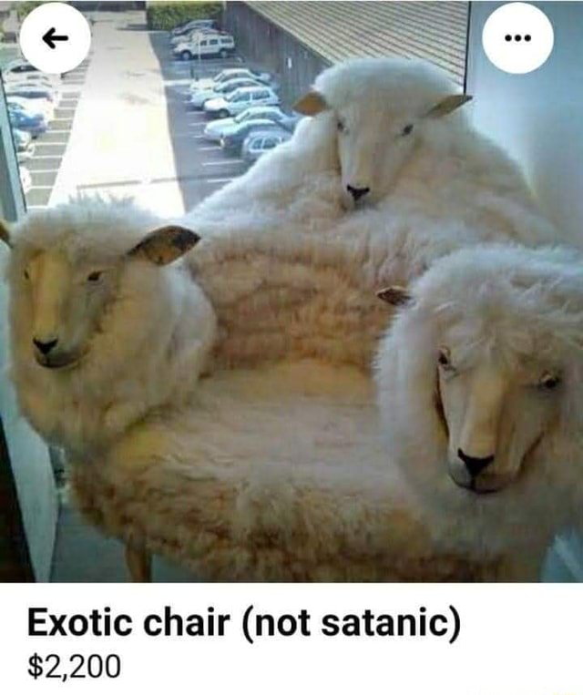 Exotic chair (not satanic) $2,200 - iFunny Brazil