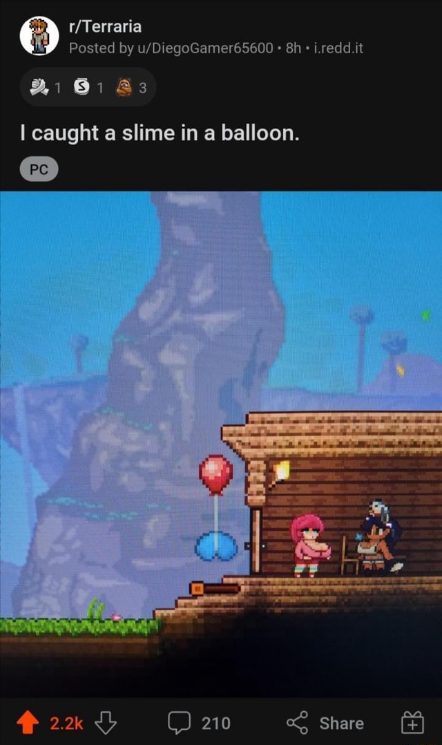 Posted by - redd It (/Terraria &3 I caught a slime in a balloon. bee ...