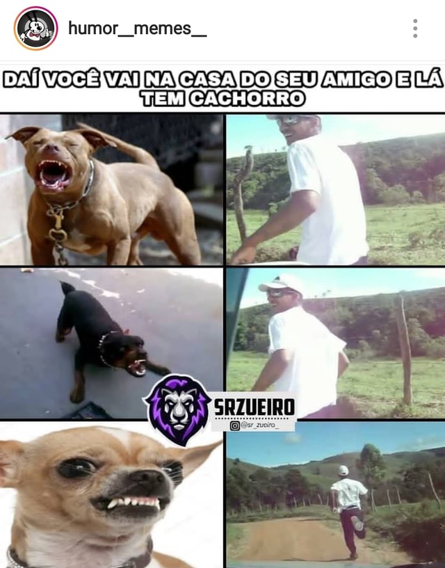 Humor memes CACHORRO - iFunny Brazil