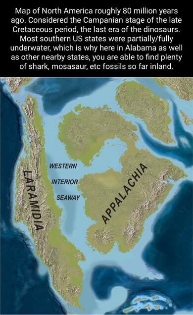 Map of North America roughly 80 million years ago. Considered the ...