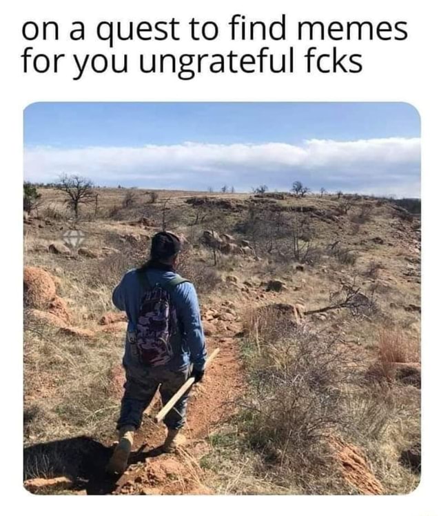 On a quest to find memes for you ungrateful fcks - iFunny Brazil
