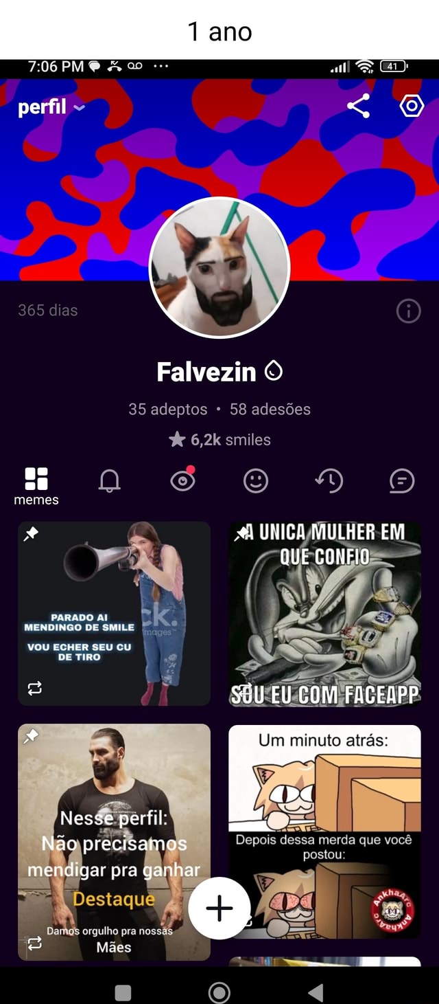 Ano PM 00 perfil (o) memes 365 dias Falvezin 35 adeptos 58 adesões 6,2k ...