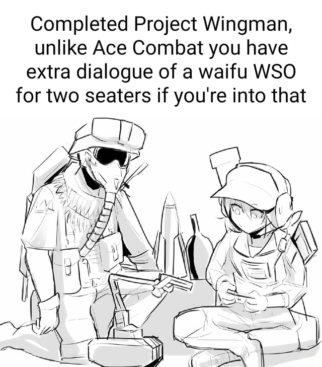 Completed Project Wingman, unlike Ace Combat you have extra dialogue of ...