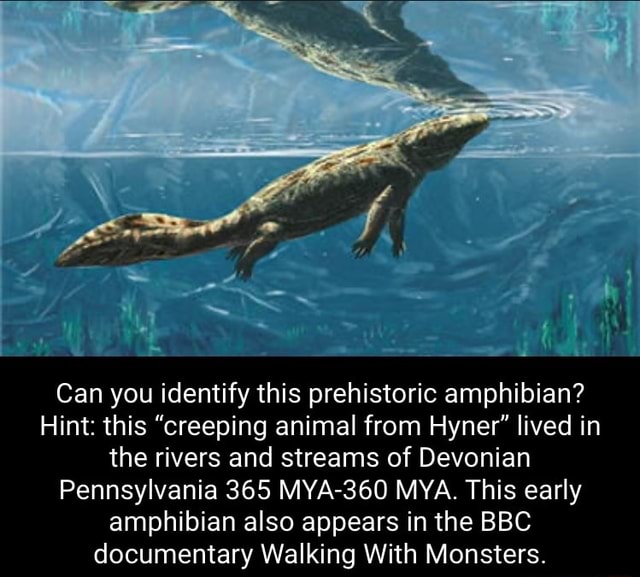 Can you identify this prehistoric amphibian? Hint: this "creeping animal from Hyner" lived in ...