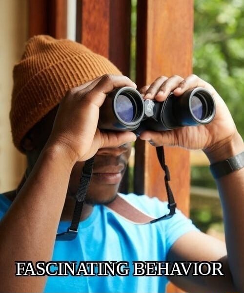 FASCINATING BEHAVIOR - iFunny Brazil