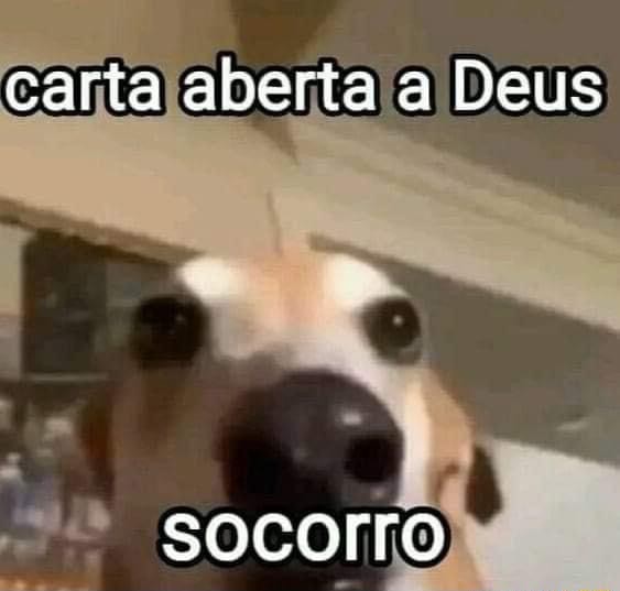 Carta aberta a Deus socorro - iFunny Brazil