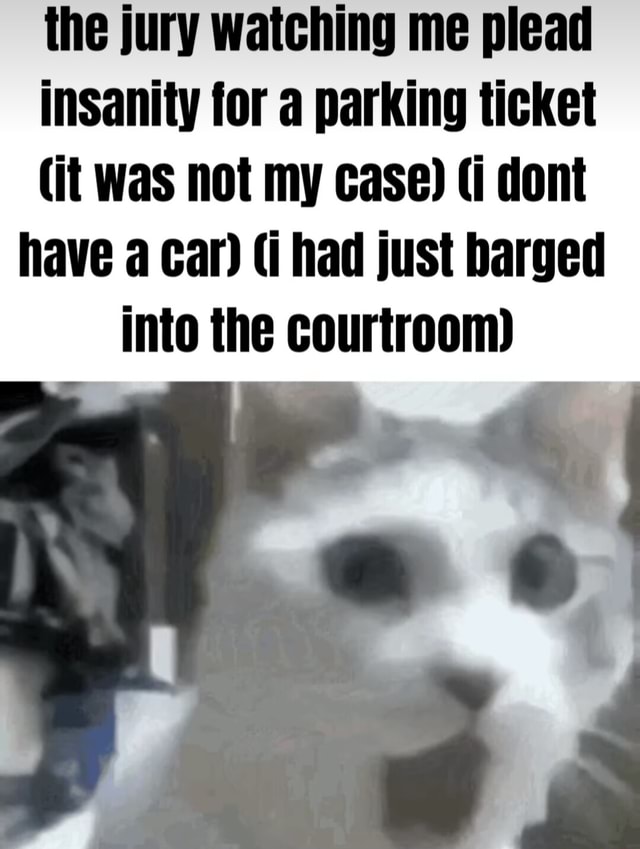 The jury watching me plead insanity for a parking ticket (it was not my ...