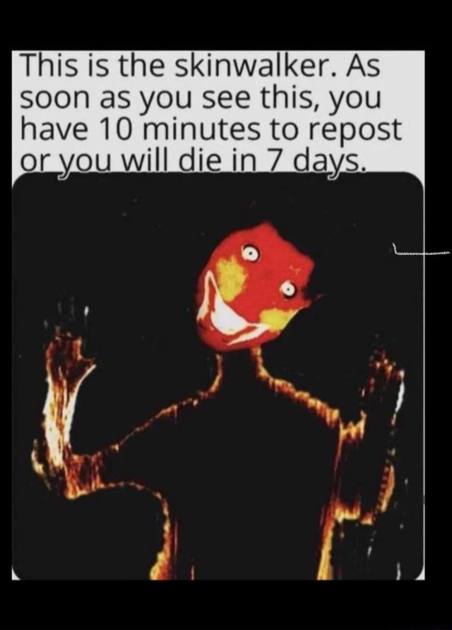 This is the skinwalker. As soon as you see this, you have 10 minutes to ...