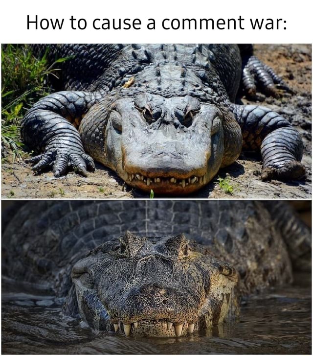 How to cause a comment war: - iFunny Brazil