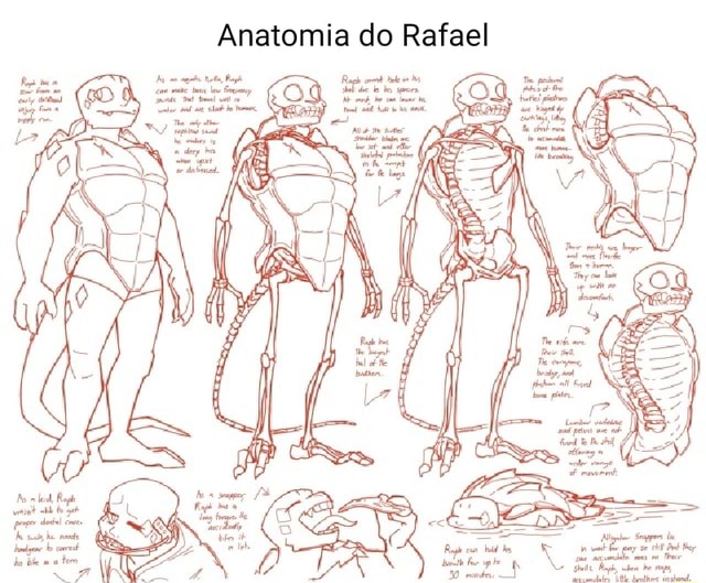 Anatomia do Rafael - iFunny Brazil
