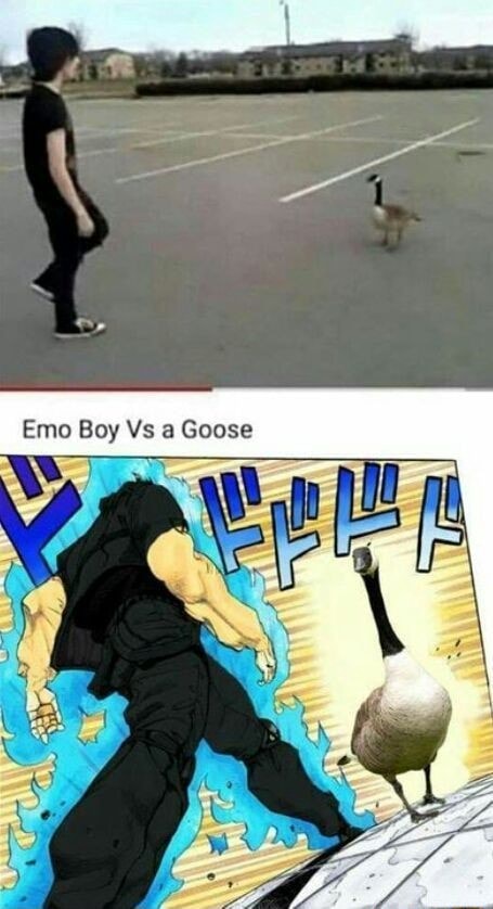 Emo Boy Vs a Goose - iFunny Brazil