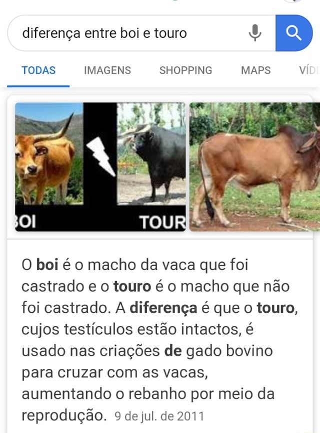 Diferença entre boi e touro 4 O boi é o macho da vaca que foi castrado ...