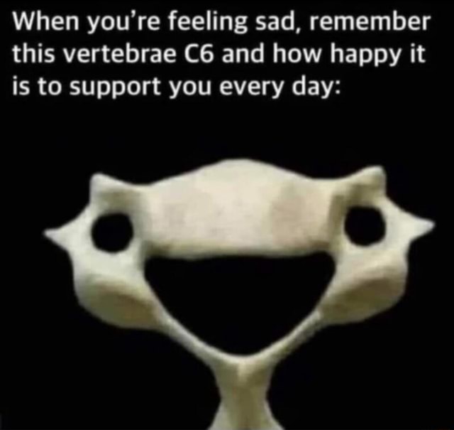 When you're feeling sad, remember this vertebrae and how happy it is to ...