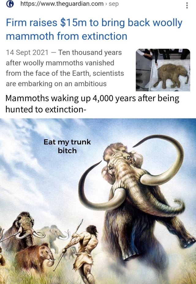 Sep Firm raises to bring back woolly mammoth from extinction 14 Sept ...