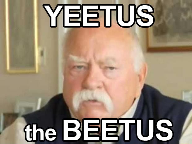 Yeetus the Beetus - iFunny Brazil