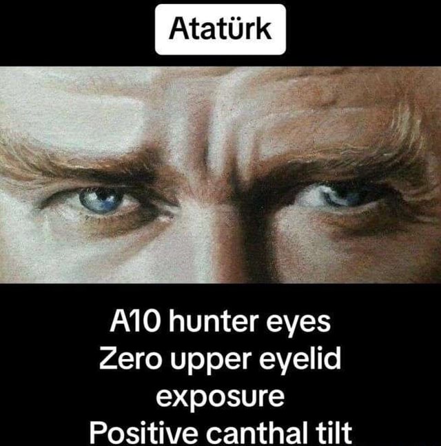 Hunter eyes Zero upper eyelid exposure Positive canthal tilt - iFunny ...