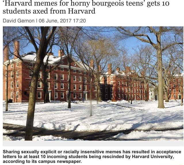 'Harvard memes for horny bourgeois teens gets 10 students axed from ...