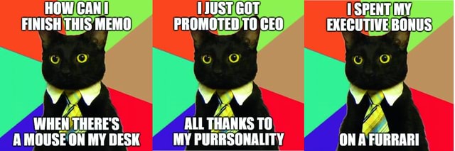 HOW CAN JUST GOT SPENT MY FINISH THIS MEMO PROMOTED TO GEO EXECUTIVE ...