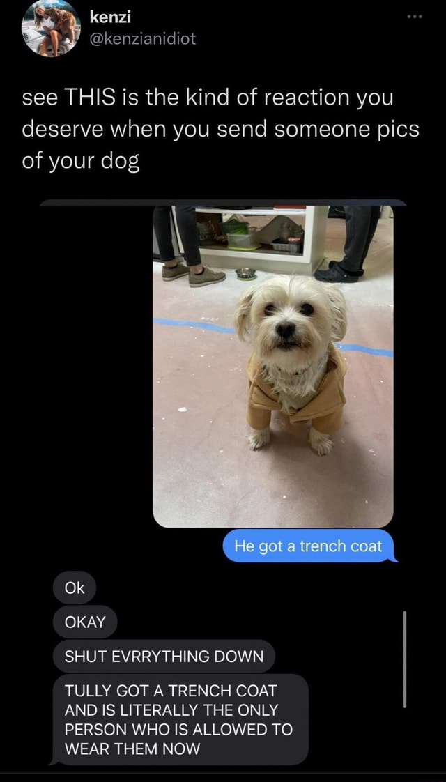 Funny Random Meme and Twitter Dump - Po see THIS is the kind of ...