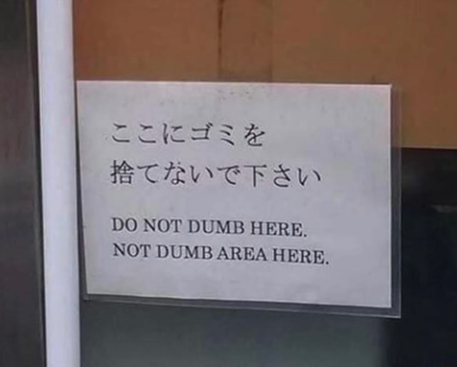 SS FE CHEWY FAVY DO NOT DUMB HERE. NOT DUMB AREA HERE. - iFunny Brazil