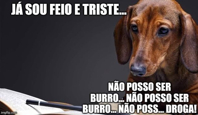JÁ SOU FEIO E TRISTE... NÃO POSSO SER BURRO.. NÃO POSSO SER BURRO. NÃO ...