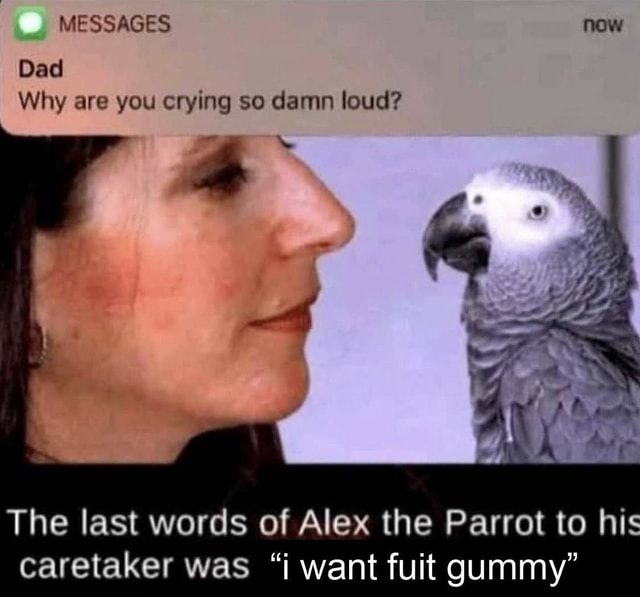 Why are you crying so damn loud? The last words of Alex the Parrot to ...