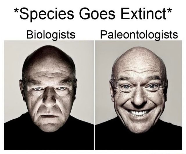*Species Goes Extinct* Biologists Paleontologists - iFunny Brazil
