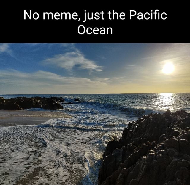 No meme, just the Pacific Ocean - iFunny Brazil