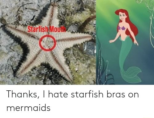 Thanks, I hate starfish bras on mermaids - iFunny Brazil