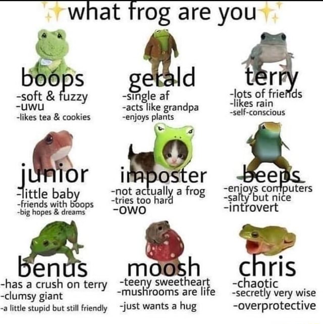 What frog are you -soft & fuzzy -single af jots of frie ids -uwu -acts ...