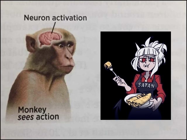 Neuron activation Monkey sees action - iFunny Brazil