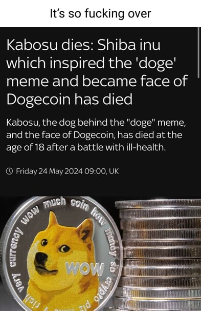 It's so fucking over Kabosu dies: Shiba inu which inspired the 'doge' meme and became face of ...