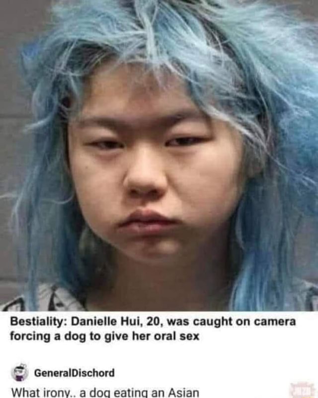 Bestiality: Danielle Hui, 20, was caught on camera forcing a dog to ...