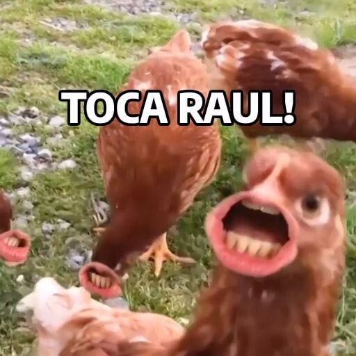 TOCA RAUL! - iFunny Brazil