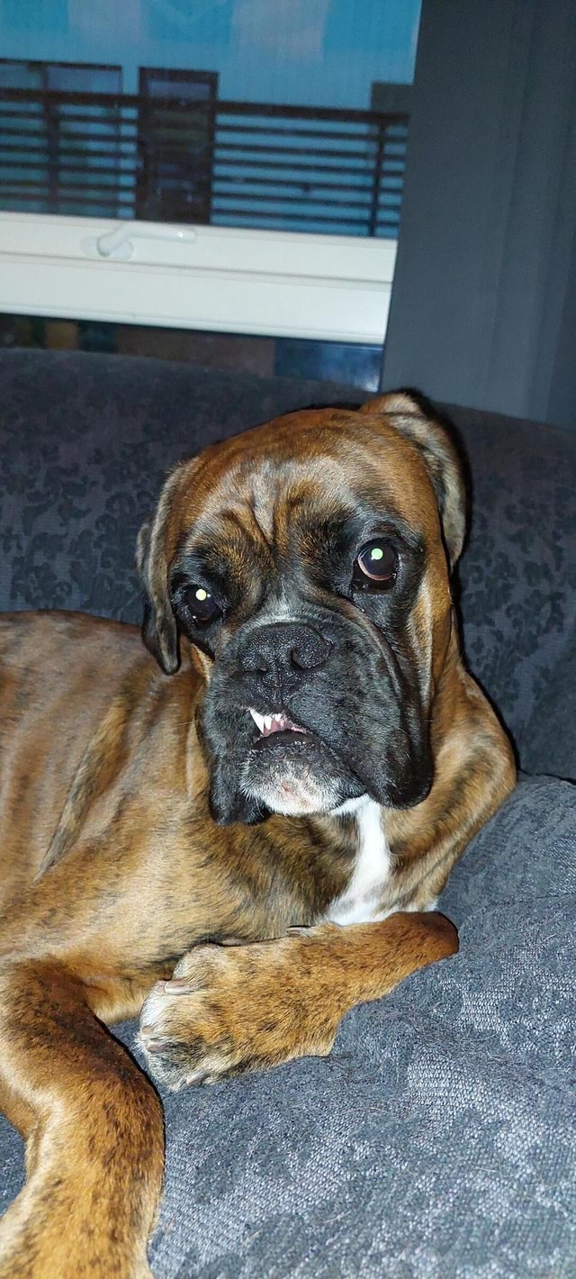 He's keeping on producing the Derp look! - iFunny Brazil