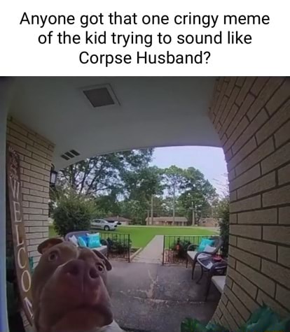 Anyone got that one cringy meme of the kid trying to sound like Corpse ...