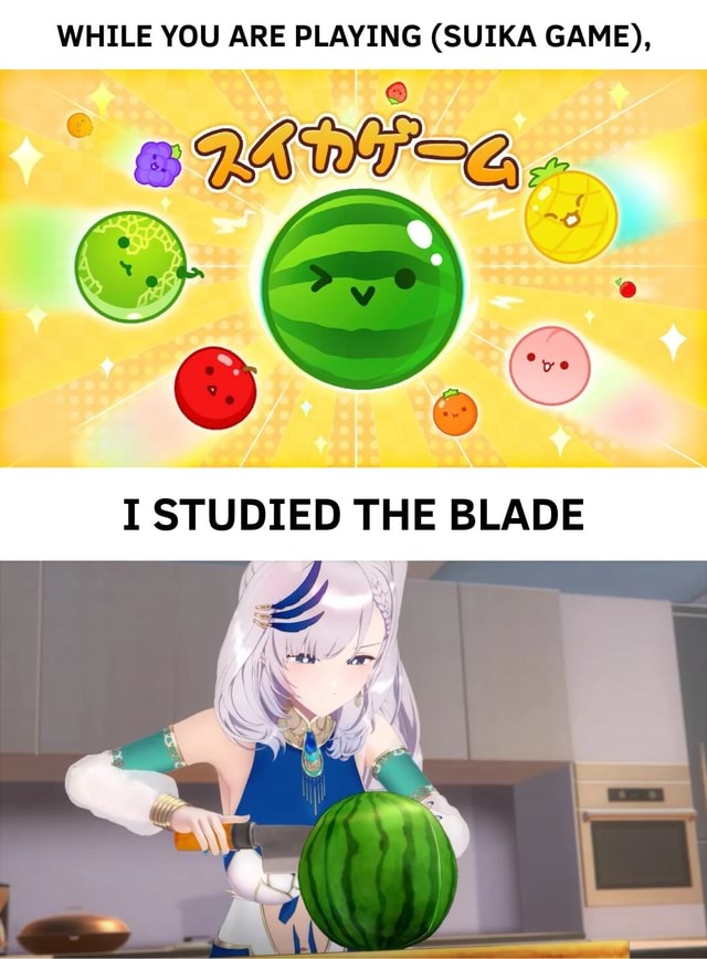 WHILE YOU ARE PLAYING (SUIKA GAME), em. I STUDIED THE BLADE - iFunny Brazil