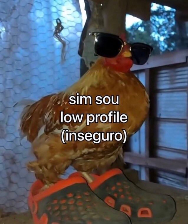 Sim sou low profile (inseguro) - iFunny Brazil