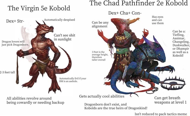 The Chad Pathfinder Kobold Dex+ Chat Con- The Virgin Se Kobold Has eyes ...