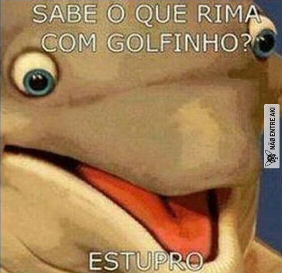 SABE O QUE RIMA RIM CoM GOLFINHO? ESTUBRO- - iFunny Brazil